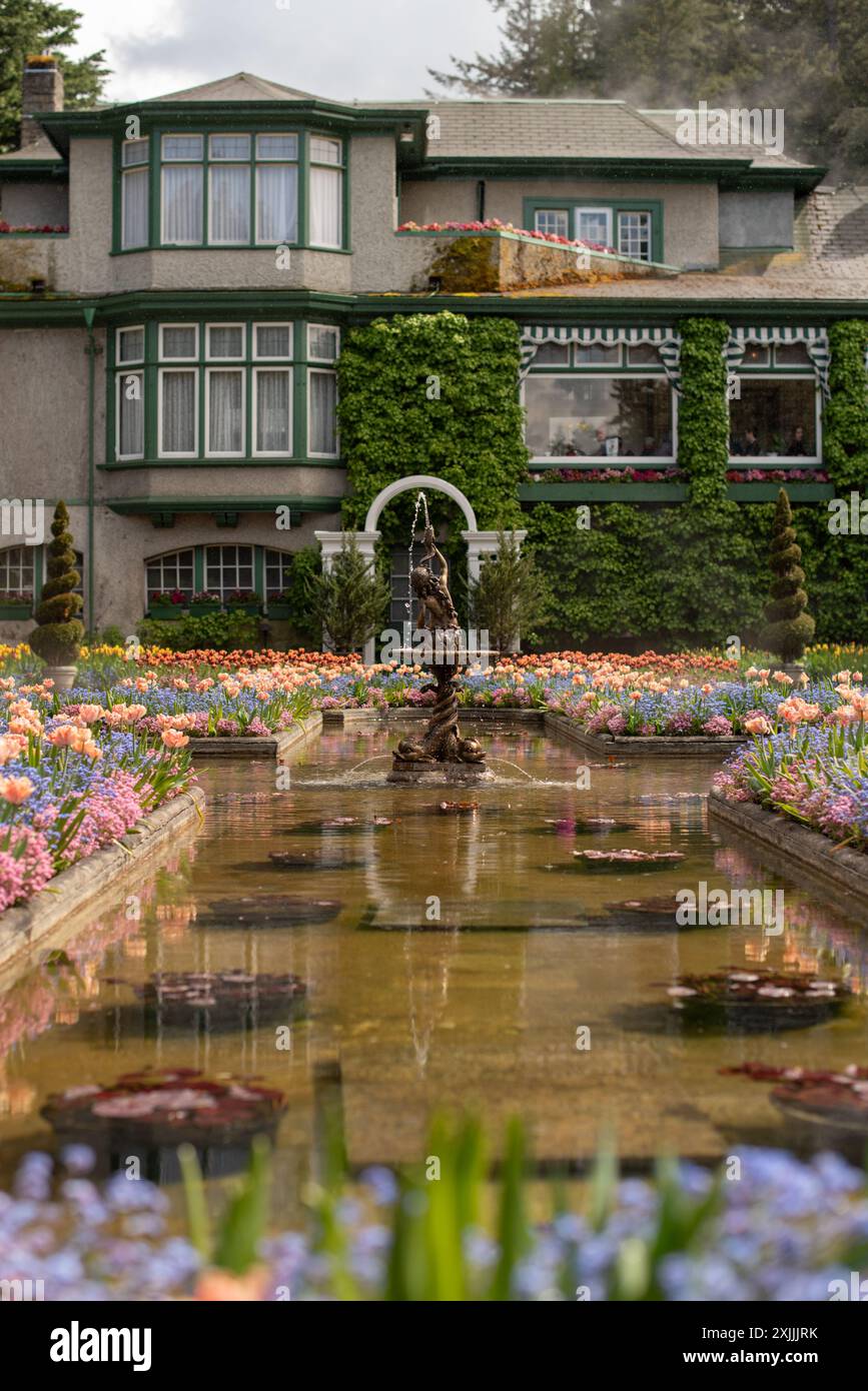 Spring blossom garden borders a fountain in Butchart Gardens, BC Stock ...