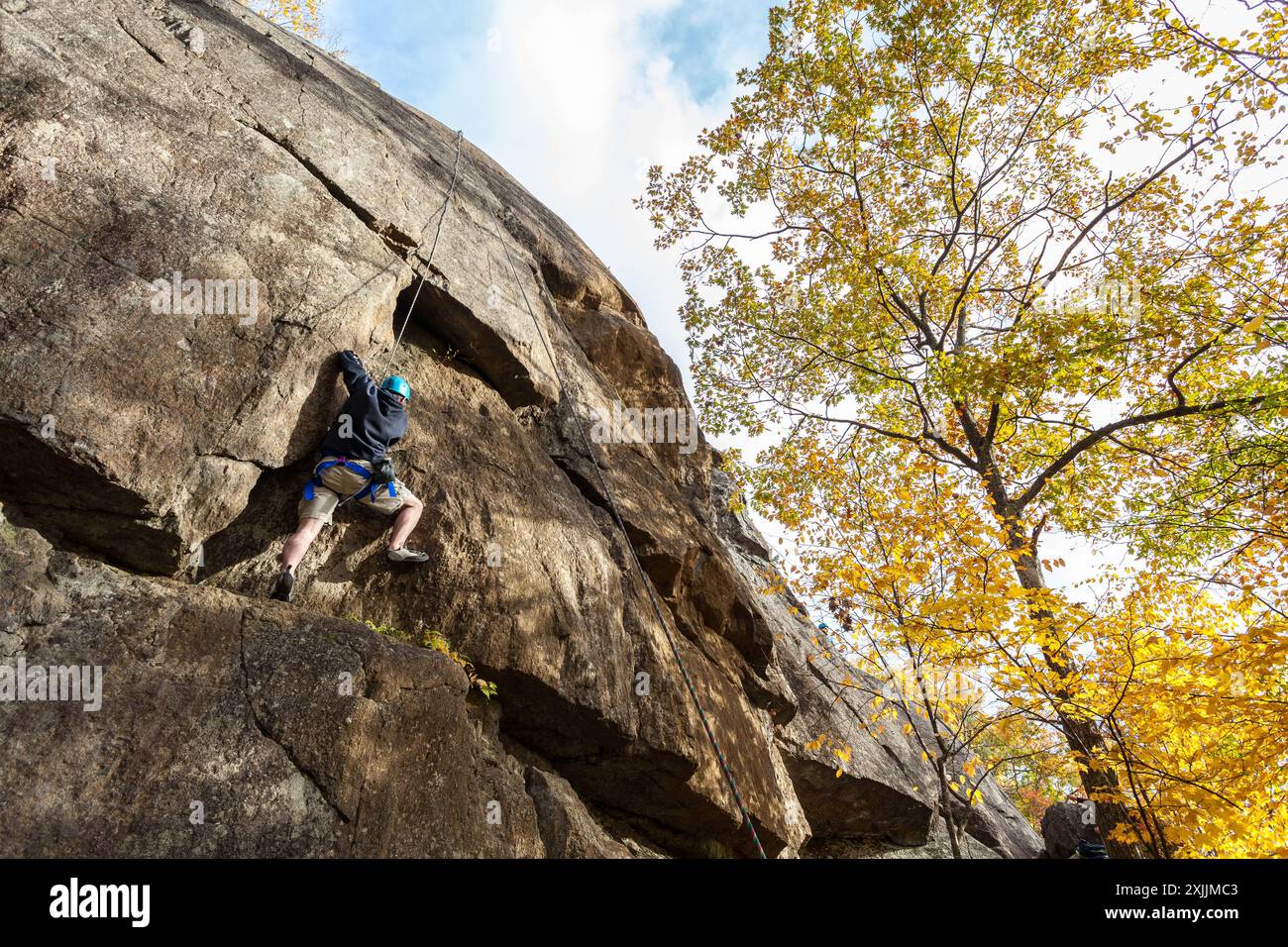 Climbing in tree top hi-res stock photography and images - Alamy