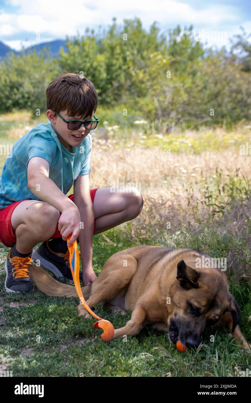 Boy playing fetch with his dog in a grassy field Stock Photo - Alamy