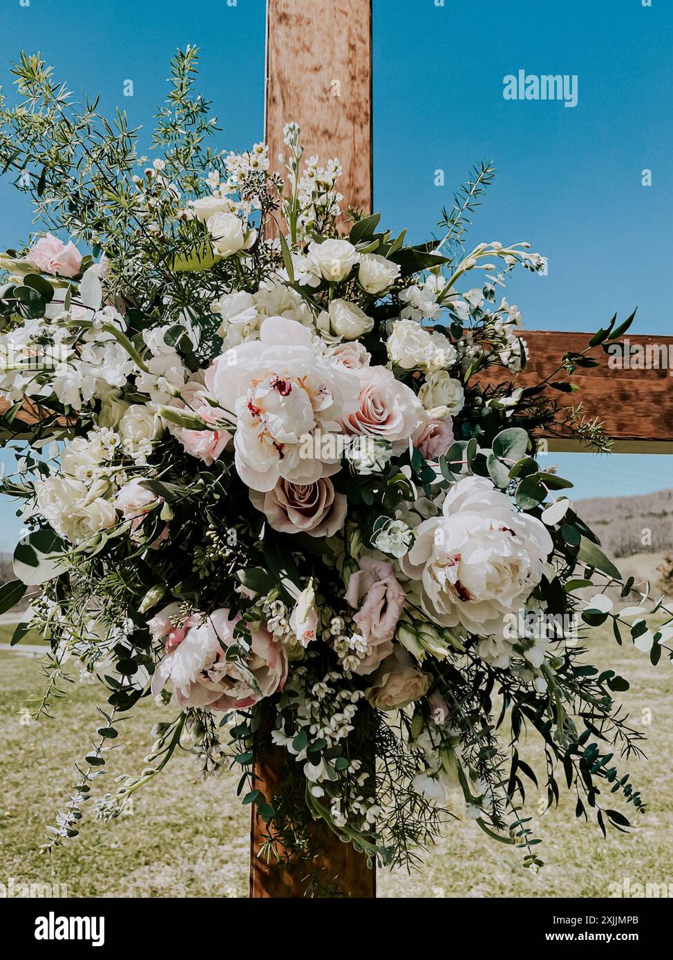 Peonies in mountains hi-res stock photography and images - Alamy