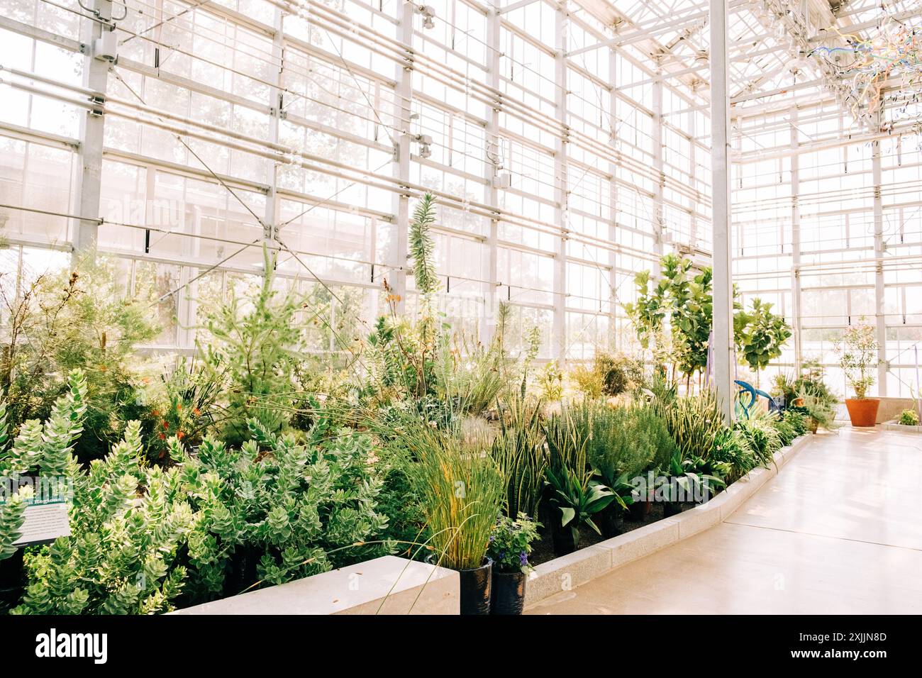Glass architecture gardens greenhouse hi-res stock photography and images - Alamy