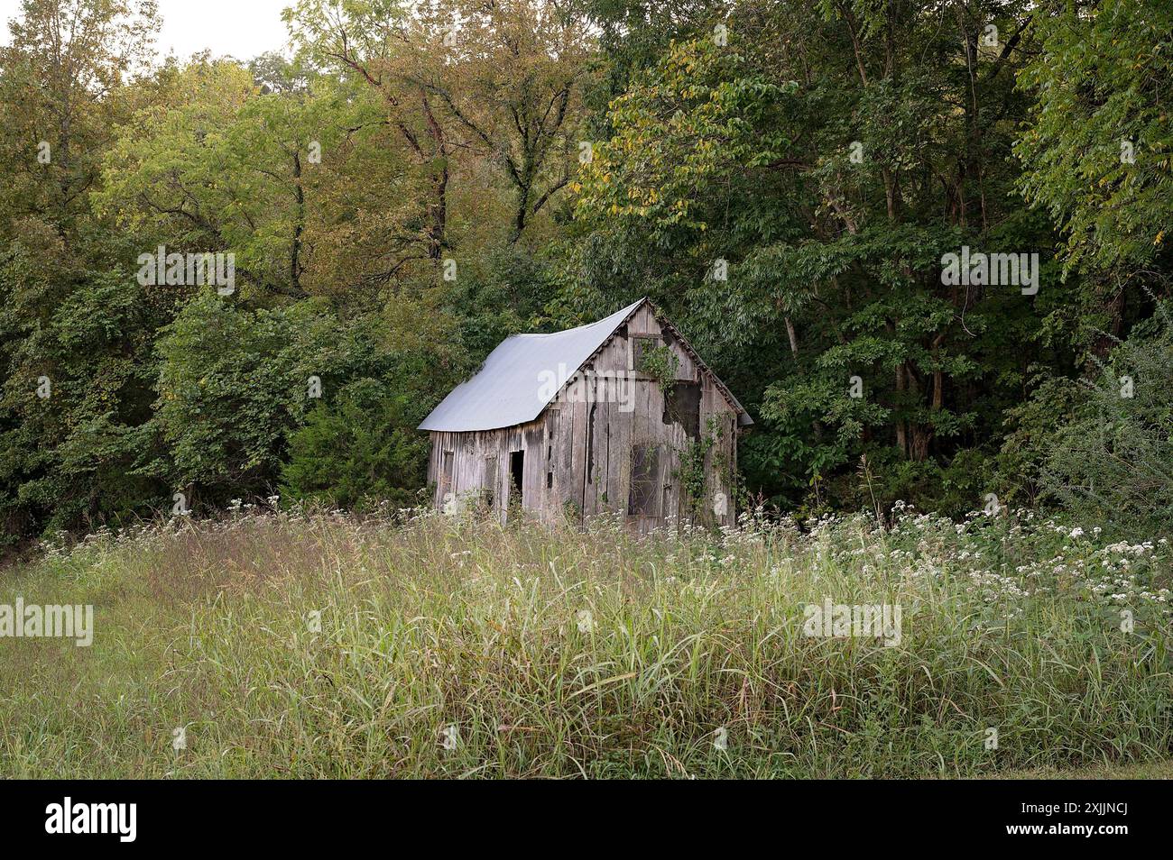 Abandoned shack hi-res stock photography and images - Alamy