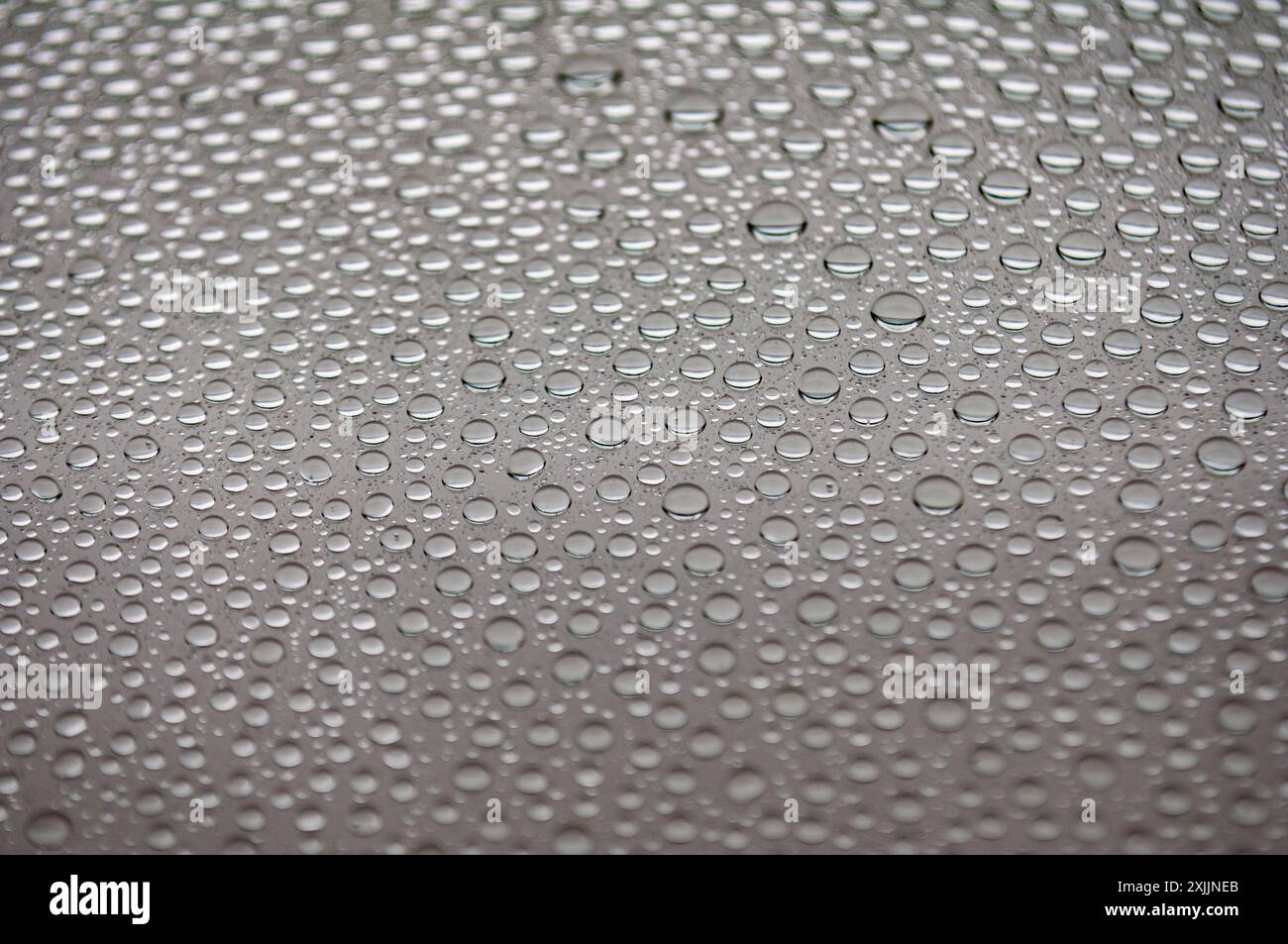 Water droplets on clear glass suitable for design and wallpaper Stock ...
