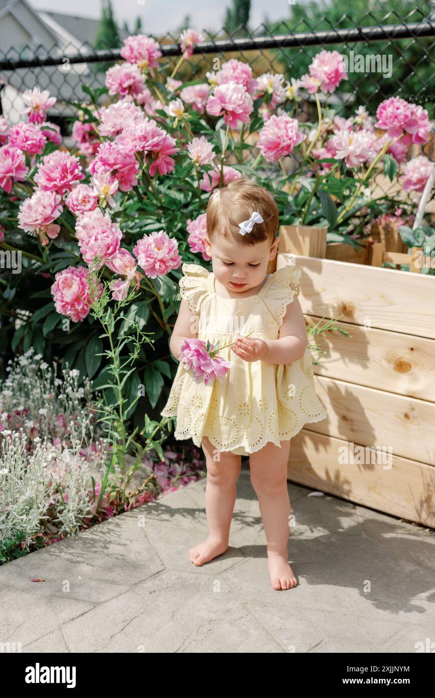Toddler girl exploring flowers in the garden, enjoying a summer day ...