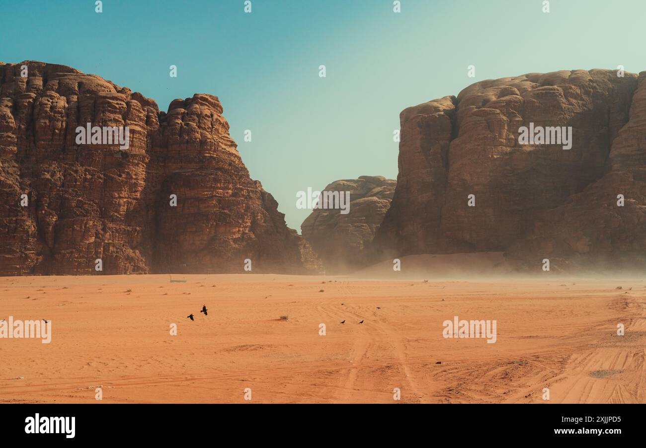 Tall cliffs forming a canyon and shifting sands in the desert Stock ...