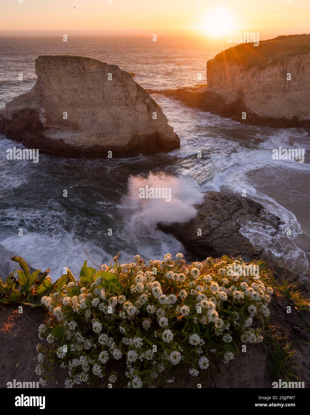 Shark fin cove hi-res stock photography and images - Alamy
