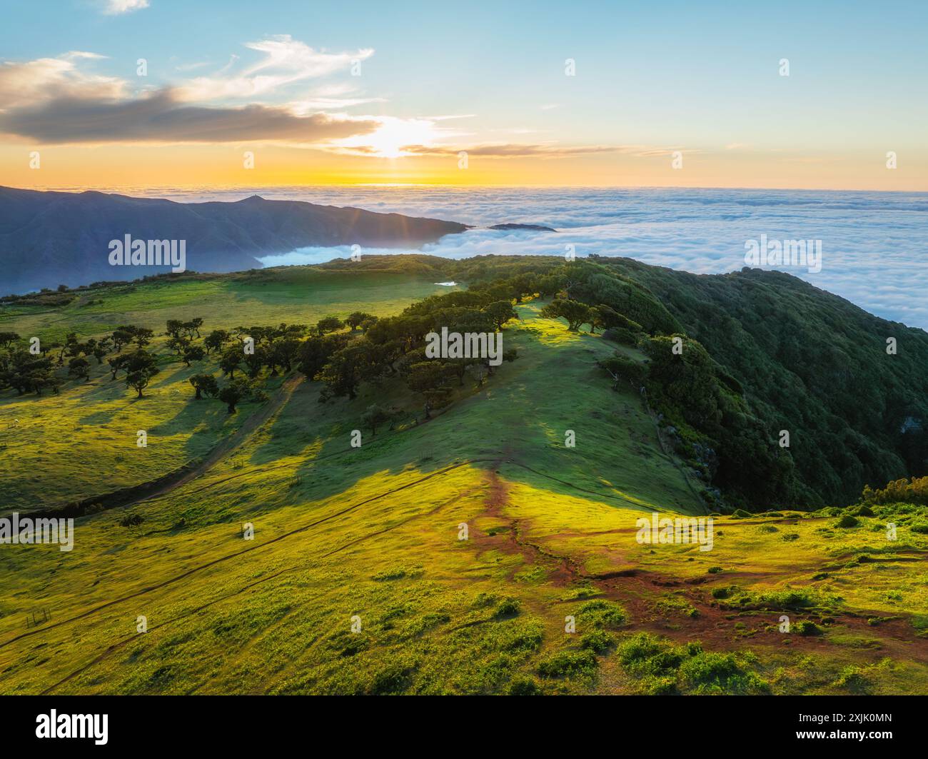 Madeira fanal forest aerial hi-res stock photography and images - Alamy
