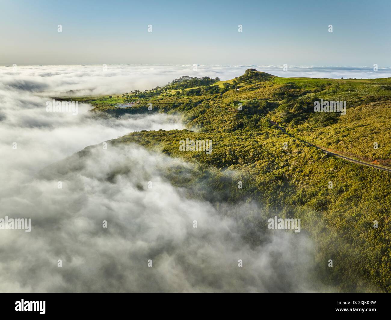 Madeira fanal forest aerial hi-res stock photography and images - Alamy