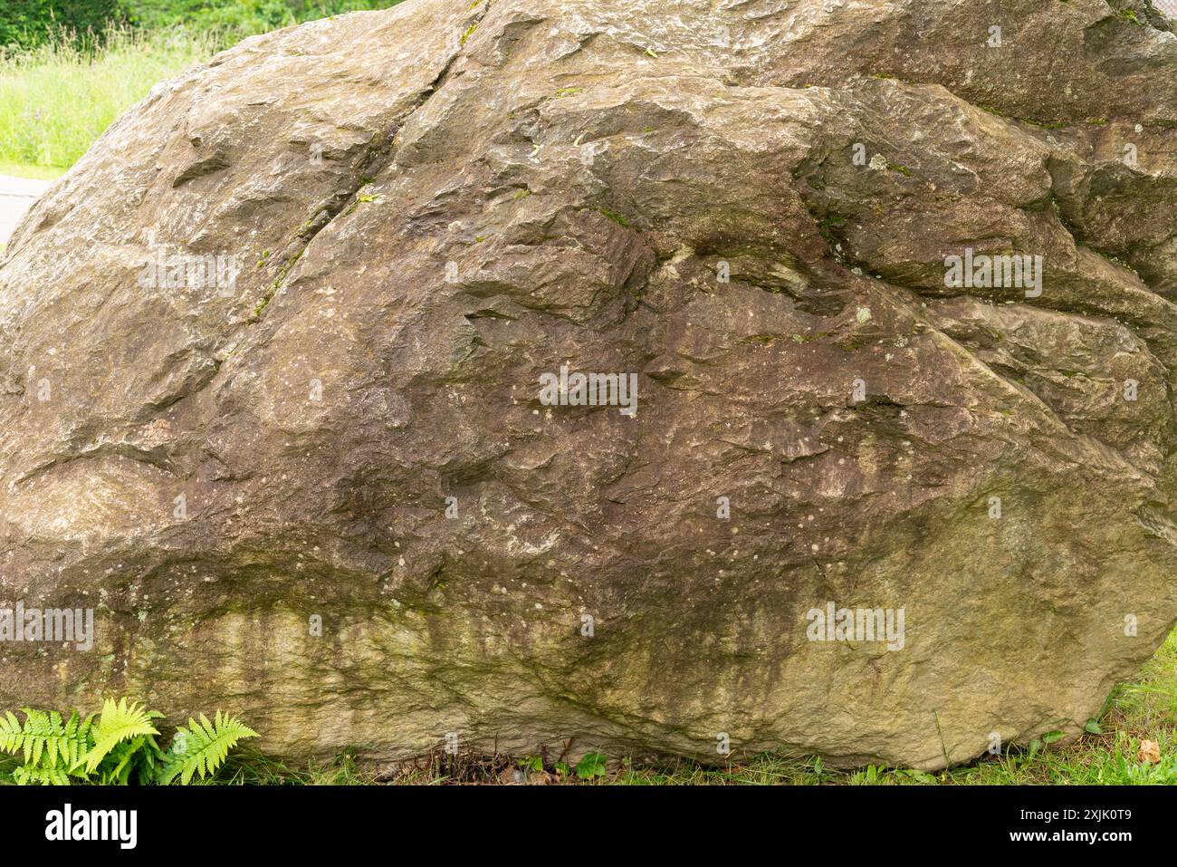 Irregular structure hi-res stock photography and images - Alamy