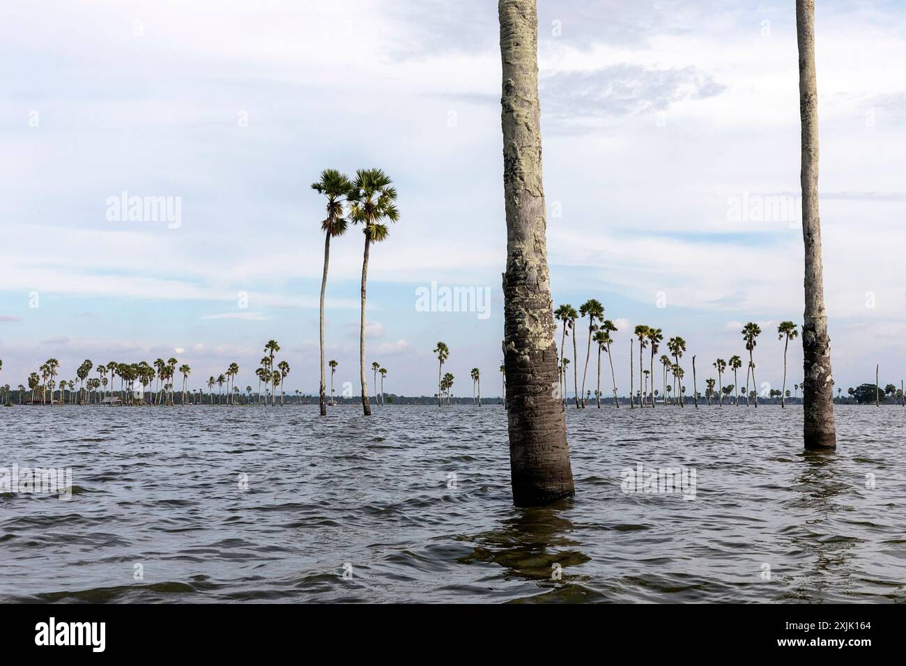 Explore tempe hi-res stock photography and images - Alamy