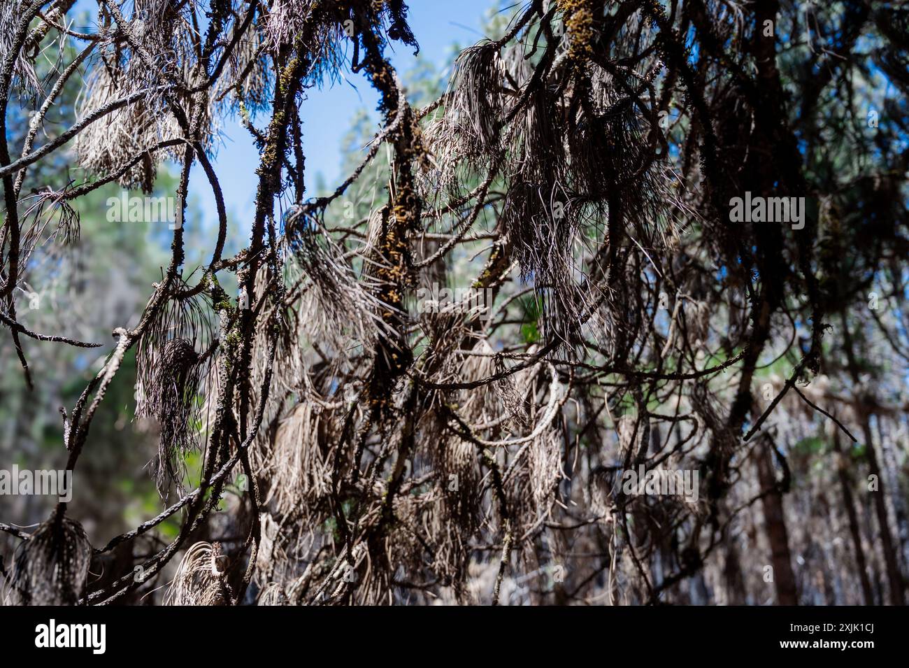 Overall image hi-res stock photography and images - Alamy