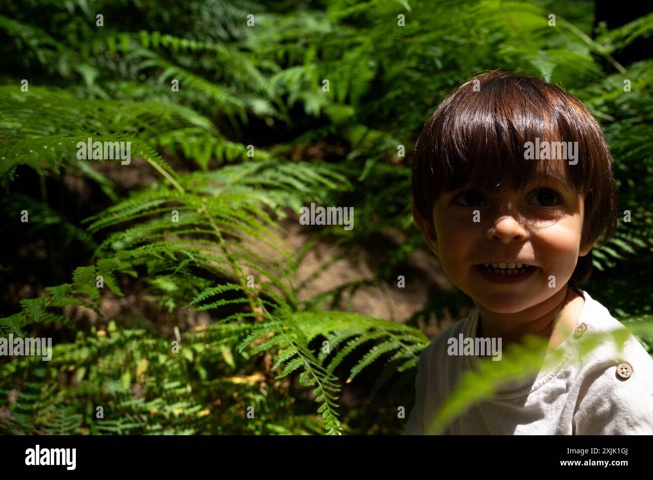 A young child is smiling in a forest with green leaves. Scene is happy ...