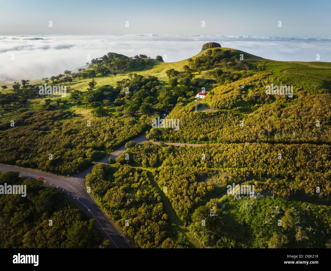 Madeira fanal forest aerial hi-res stock photography and images - Alamy