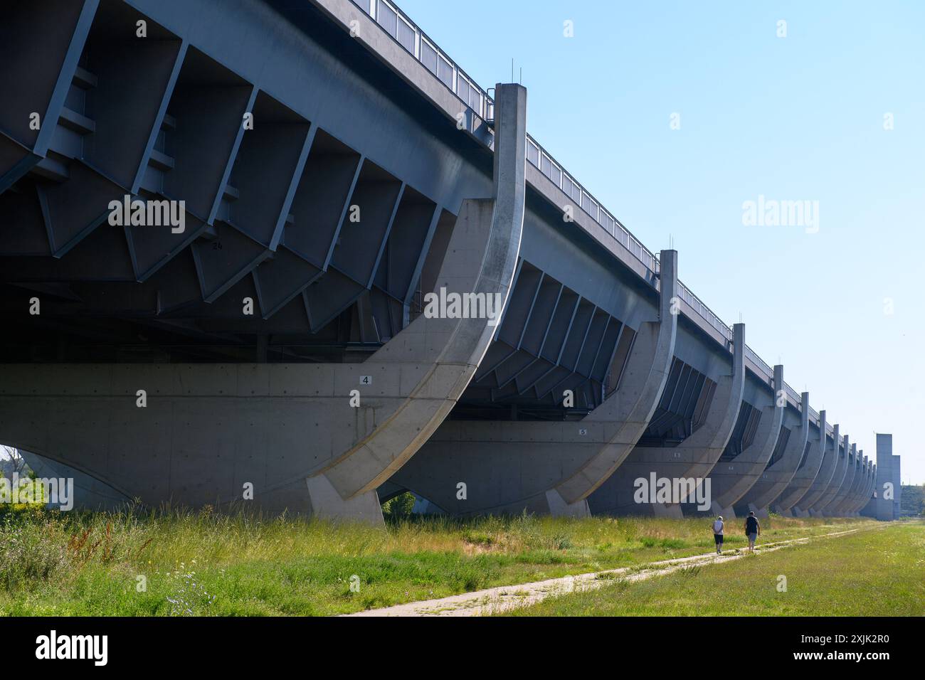 19 July 2024, Saxony-Anhalt, Wolmirstedt: Walkers walk along the ...