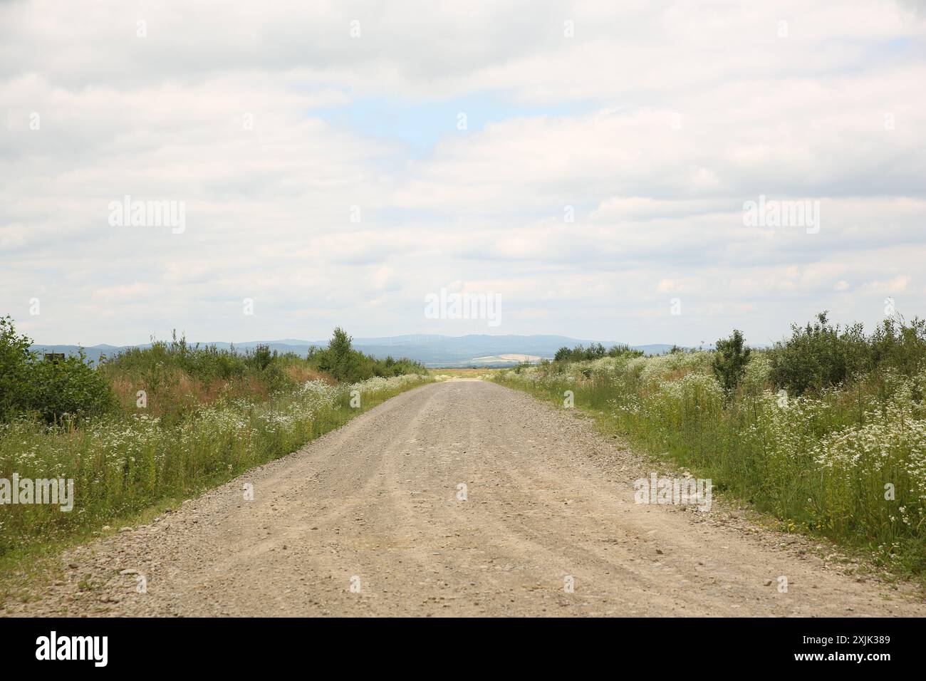 Most beautiful plants hi-res stock photography and images - Alamy