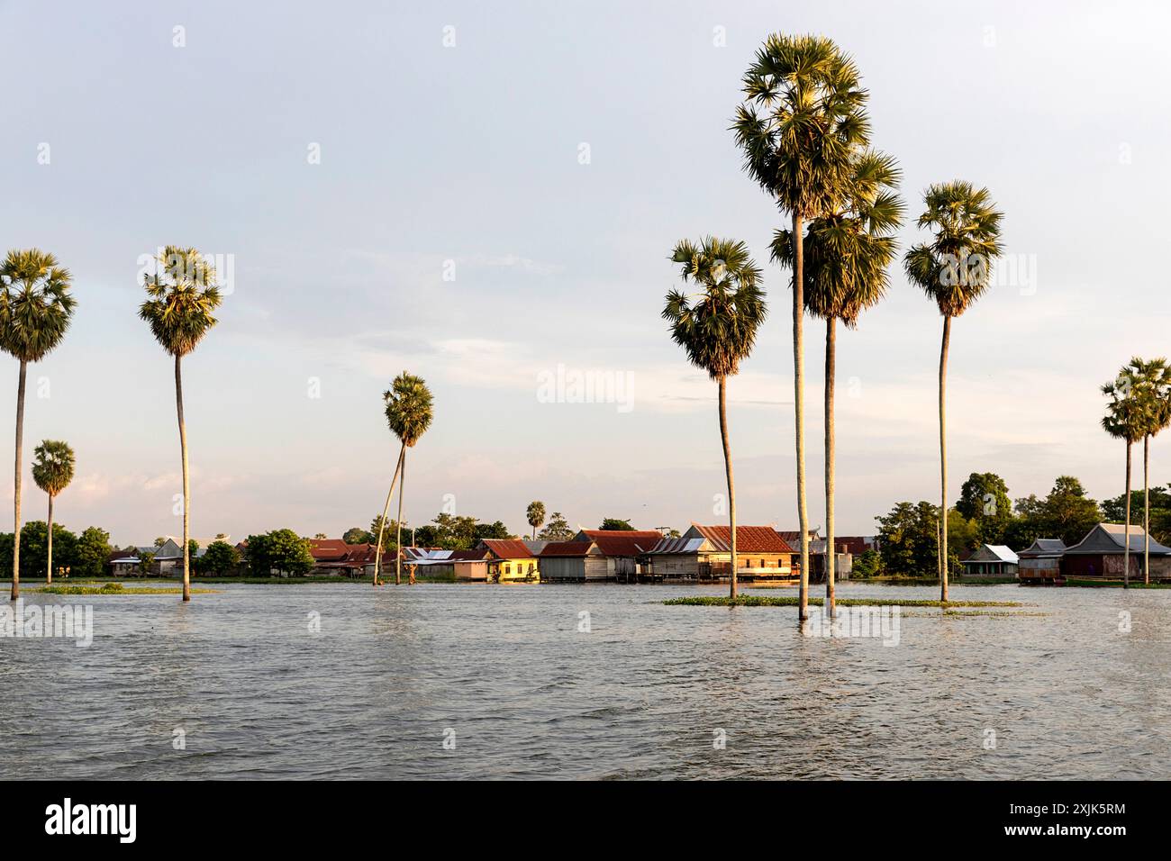 floating houses in a village surrounded with palm trees in the middle ...
