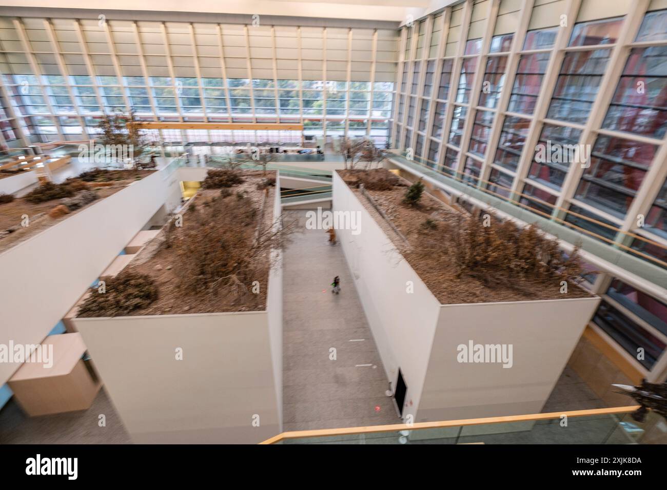 Museo de la evolución humana, MEH, Burgos , Spain Stock Photo - Alamy