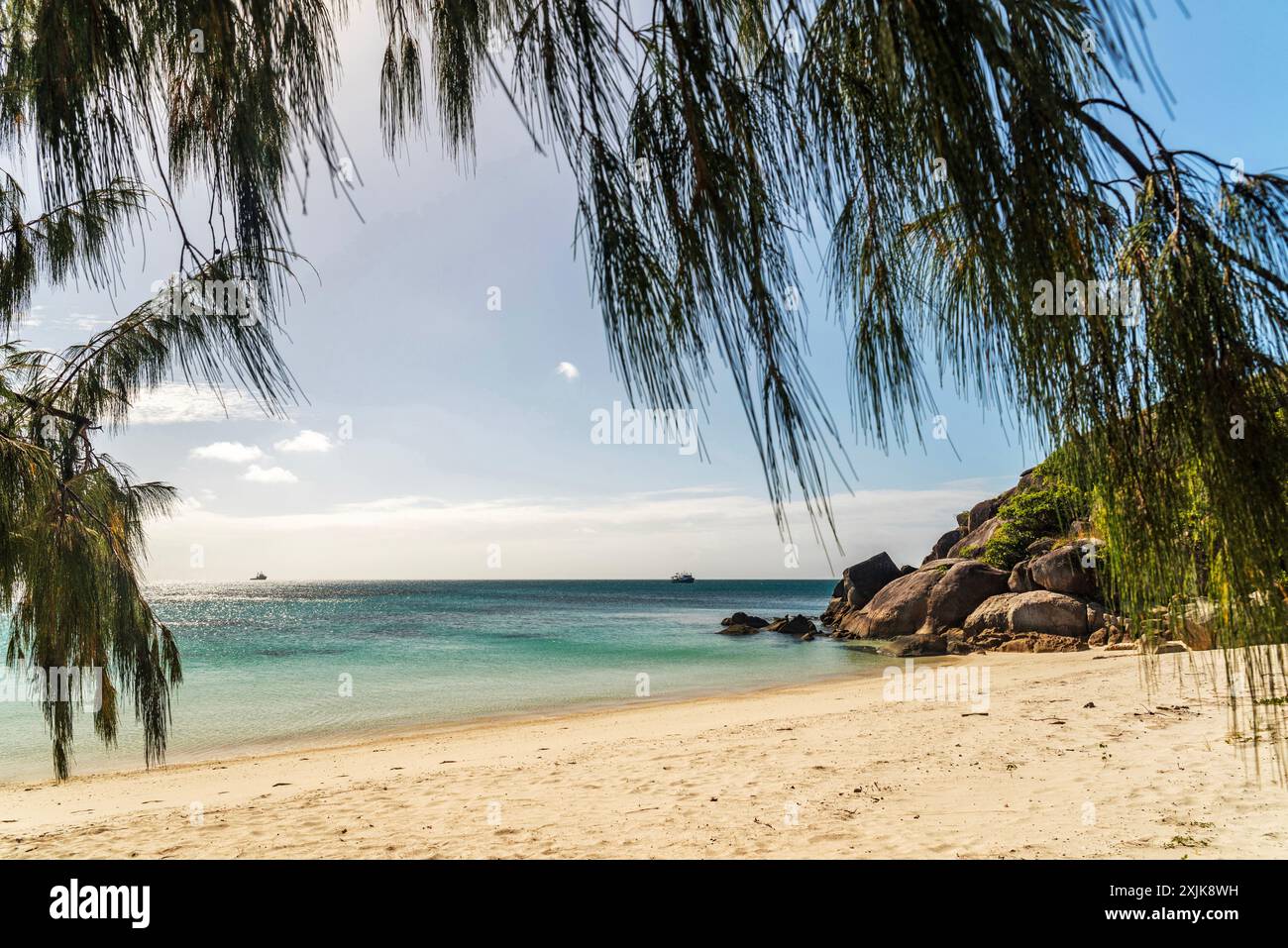 Picturesque tropical sandy Anchor Beach with turquoise water on Lizard ...