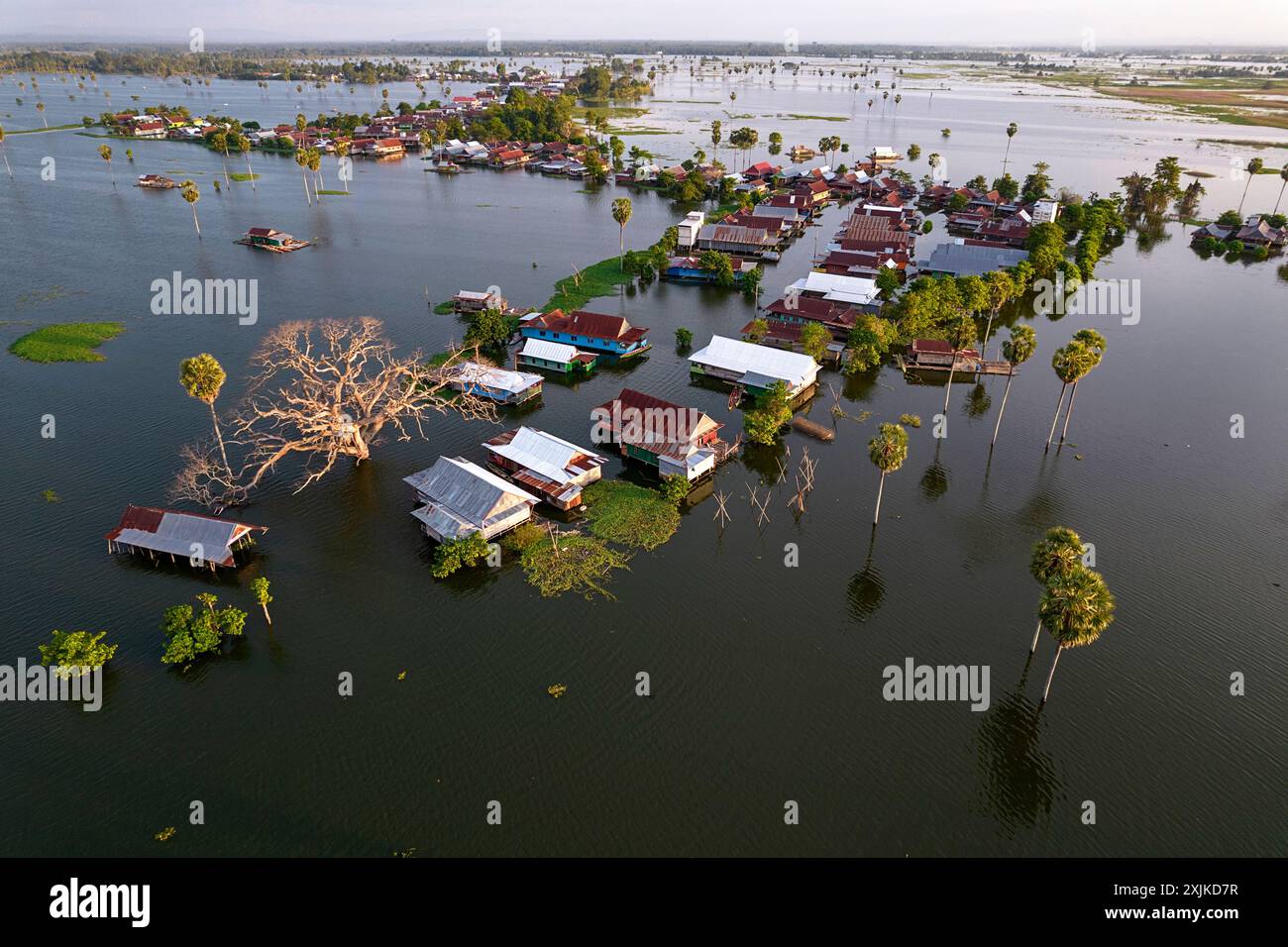 Aerial view of floating houses in a village surrounded with palm trees ...