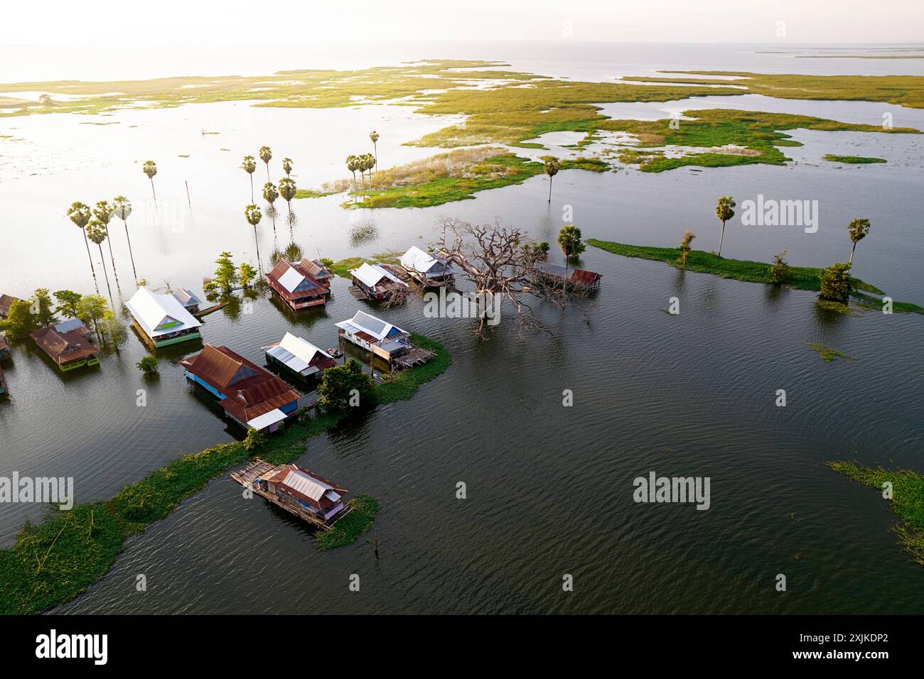 Aerial view of floating houses in a village surrounded with palm trees ...