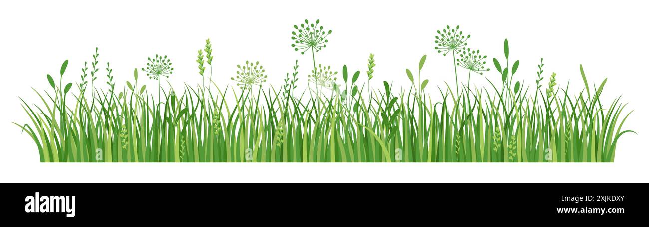 Meadow border hi-res stock photography and images - Alamy