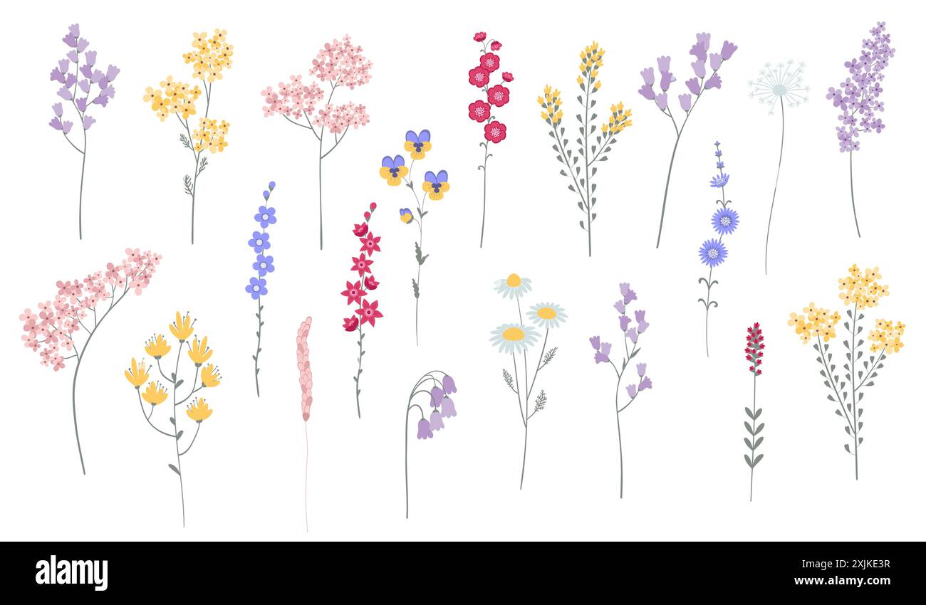 Wildflowers bloom Stock Vector Images - Alamy