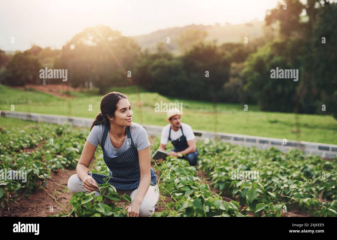 Farming, smile and woman in morning, leaves and outdoor in countryside ...