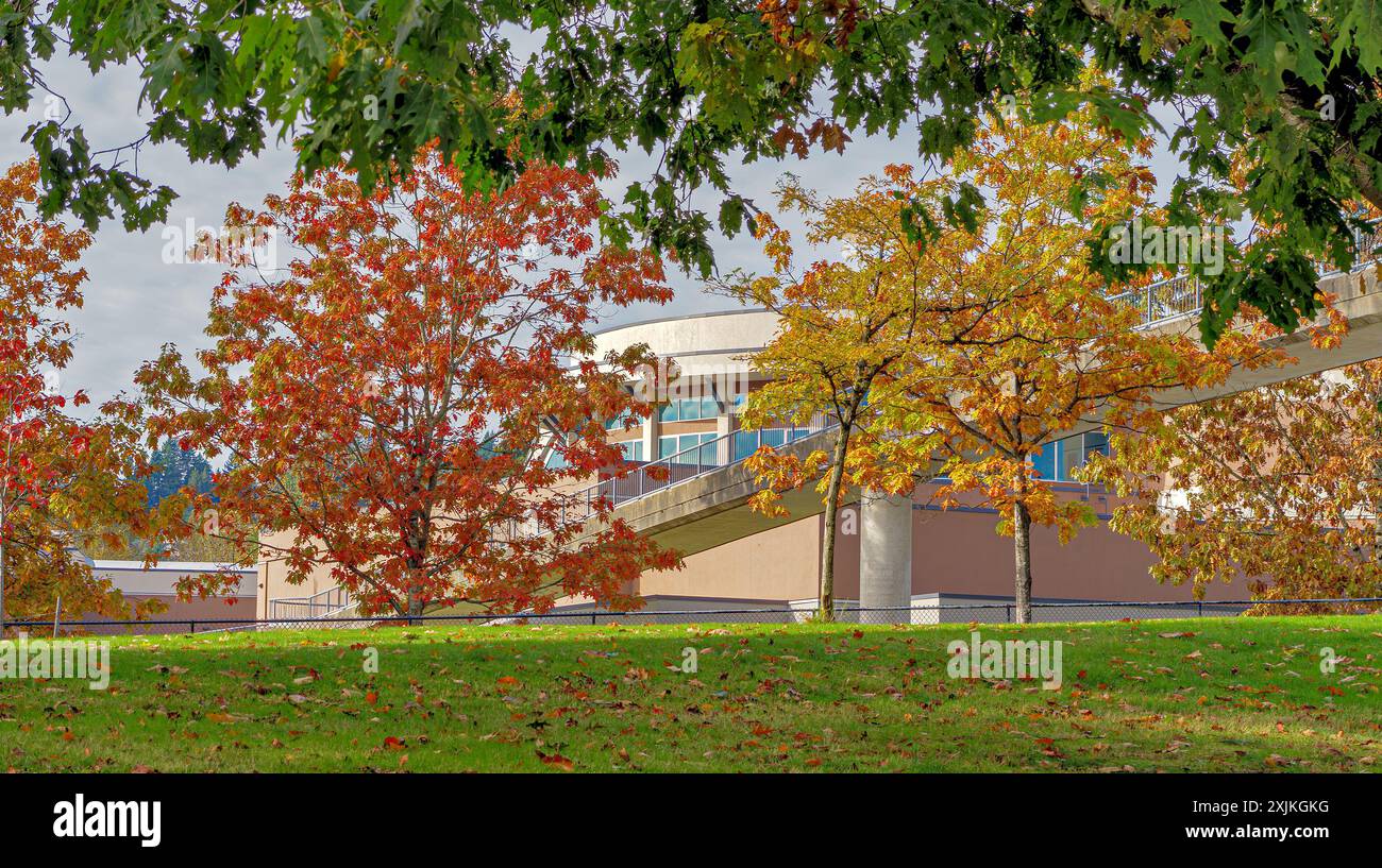 Round office building with crosswalk bridge on autumn season in ...