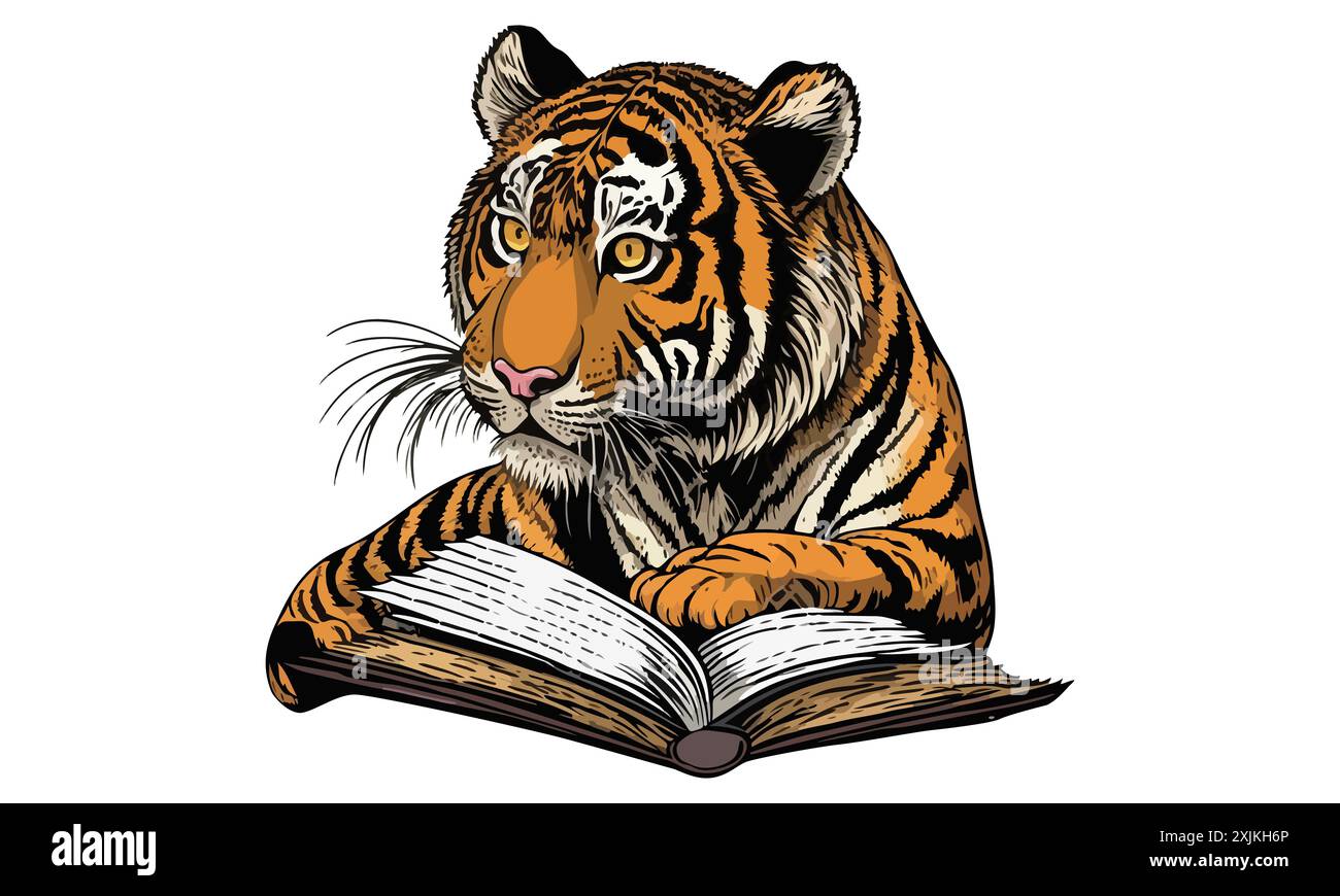 Tiger Reading Vector Illustration Stock Vector Image & Art - Alamy