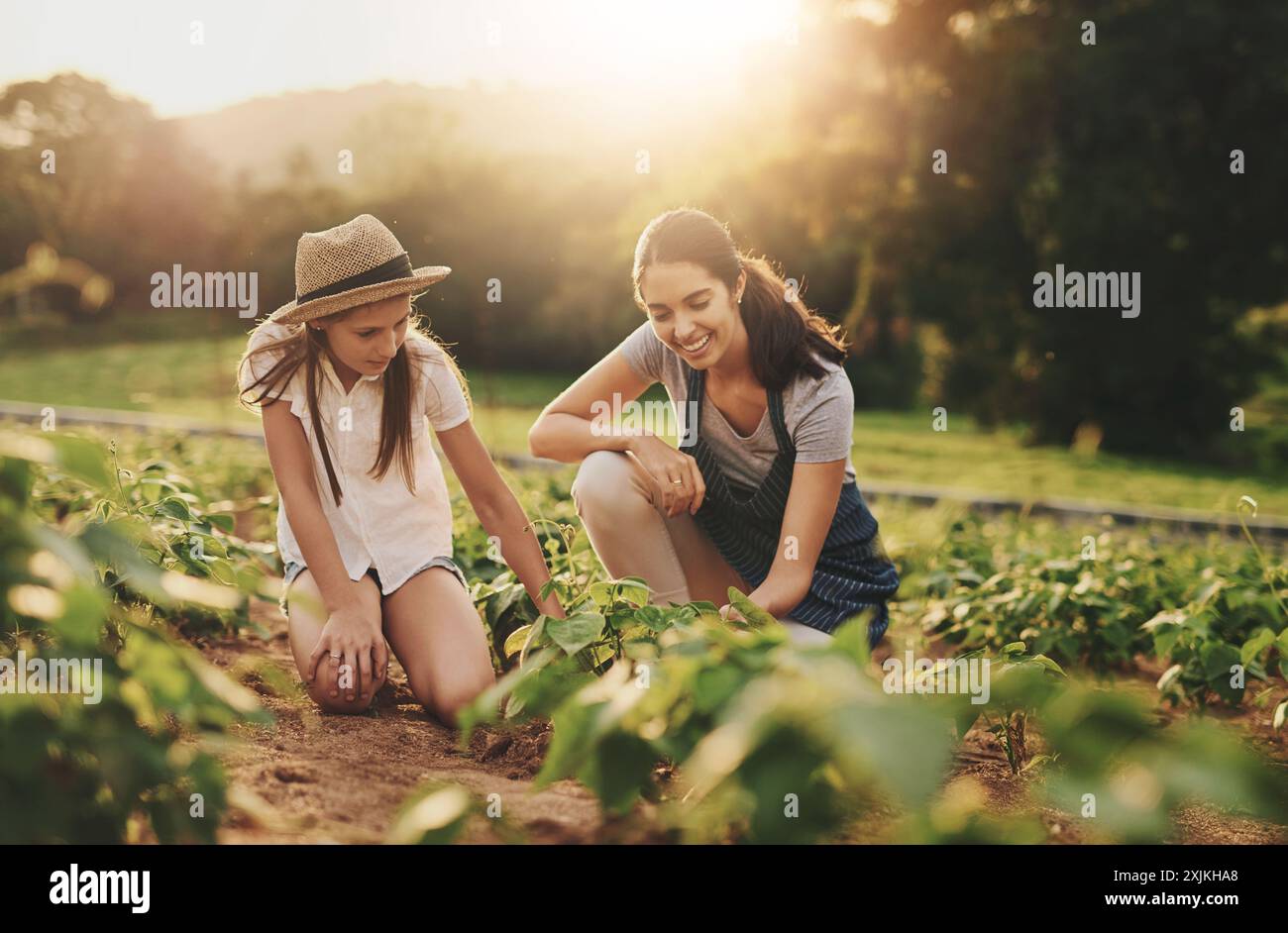 Woman, plant or girl farming for teaching with sustainability in nature ...