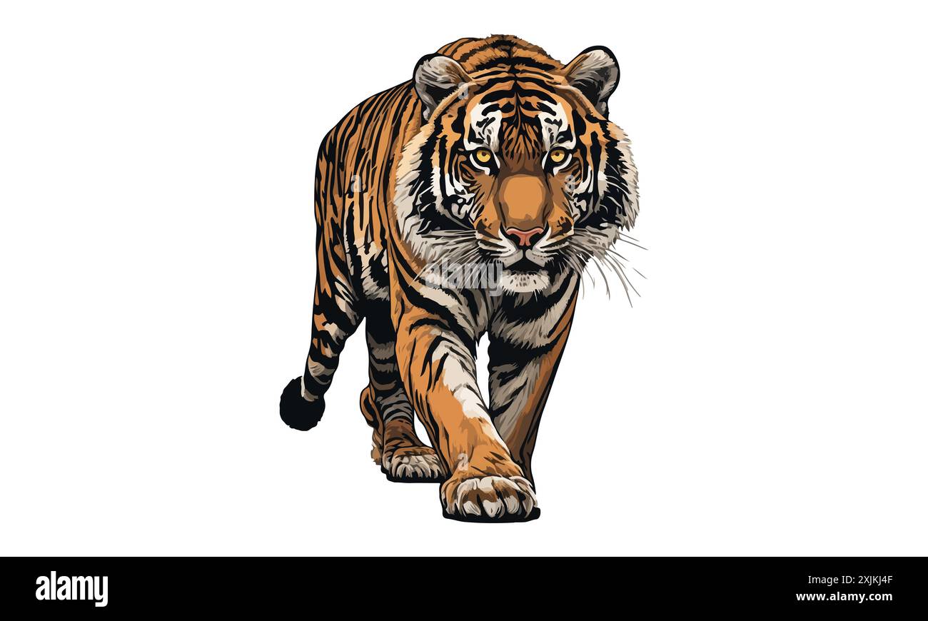 Tiger Full Body Cartoon Character Vector Stock Vector Image & Art - Alamy