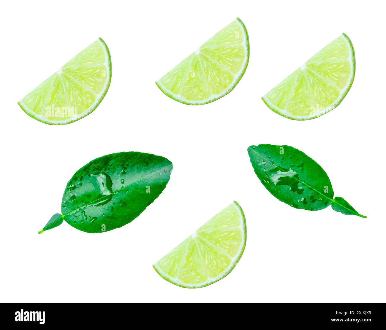 Top view set of green lemon slices or quarters with green leaves is ...