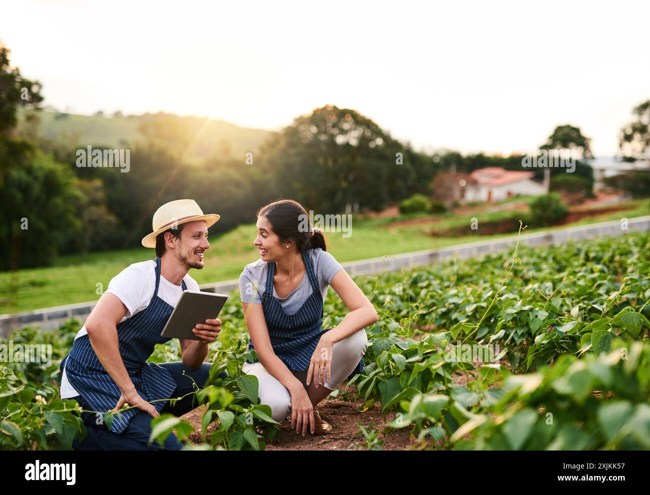 Talking, couple and farming outdoor, tablet and love for sustainability ...