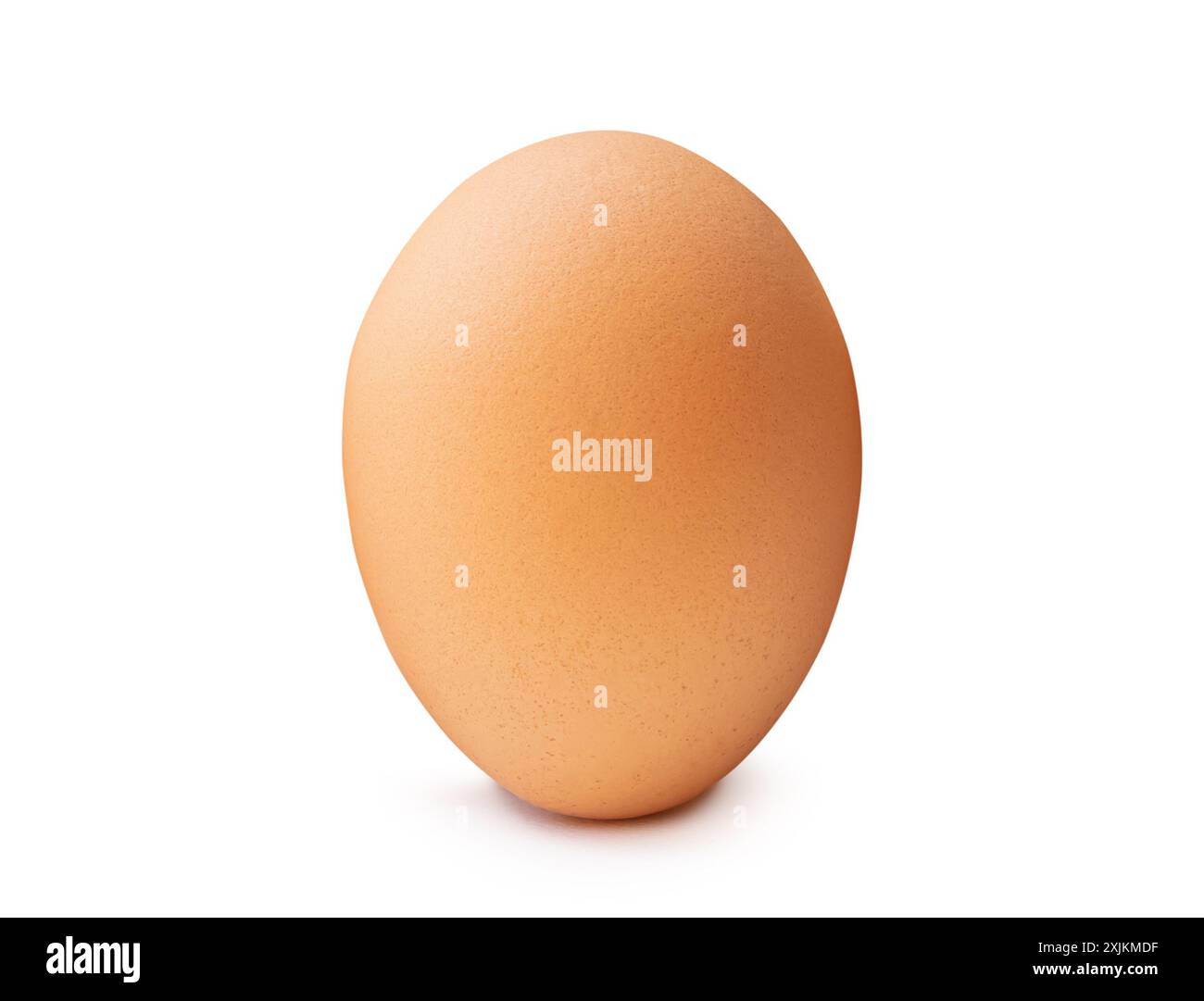 Front view of single brown chicken egg standing is isolated on white ...