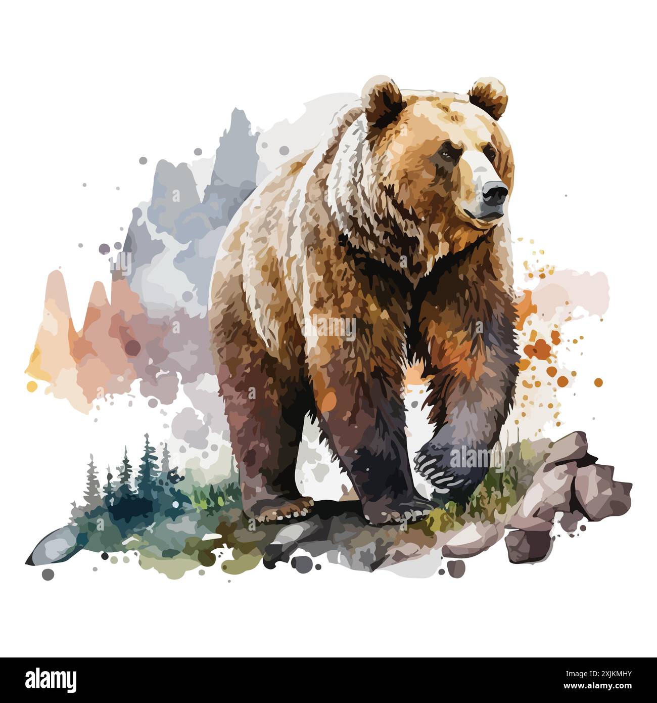 Watercolor Bear vector illustration Stock Vector Image & Art - Alamy