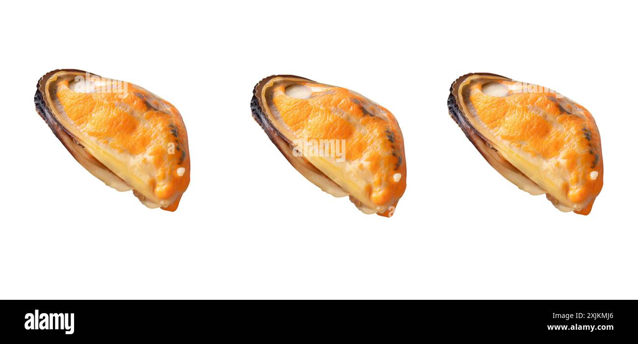 Top view set of steamed or cooked delicious green mussel meat is ...