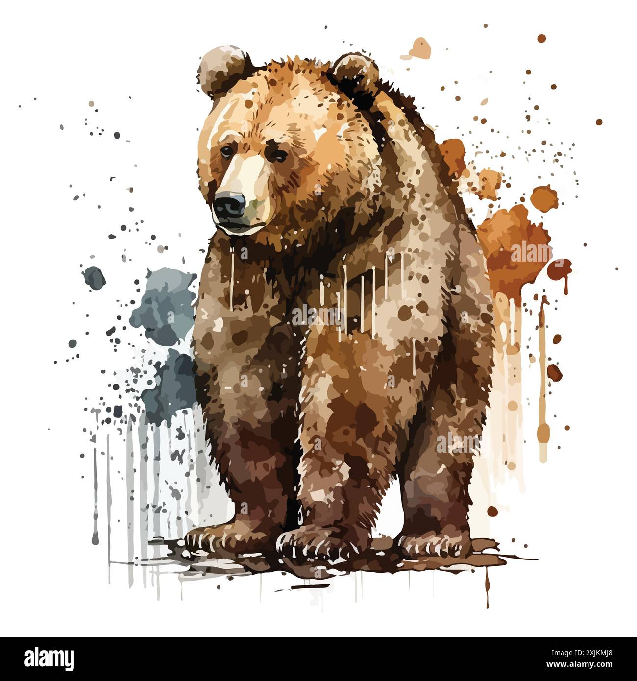 Watercolor Bear vector illustration Stock Vector Image & Art - Alamy