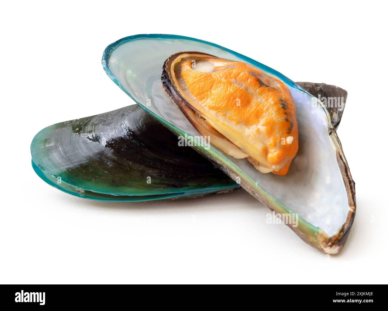 Top view of steamed or cooked delicious green mussel meat in stack is ...