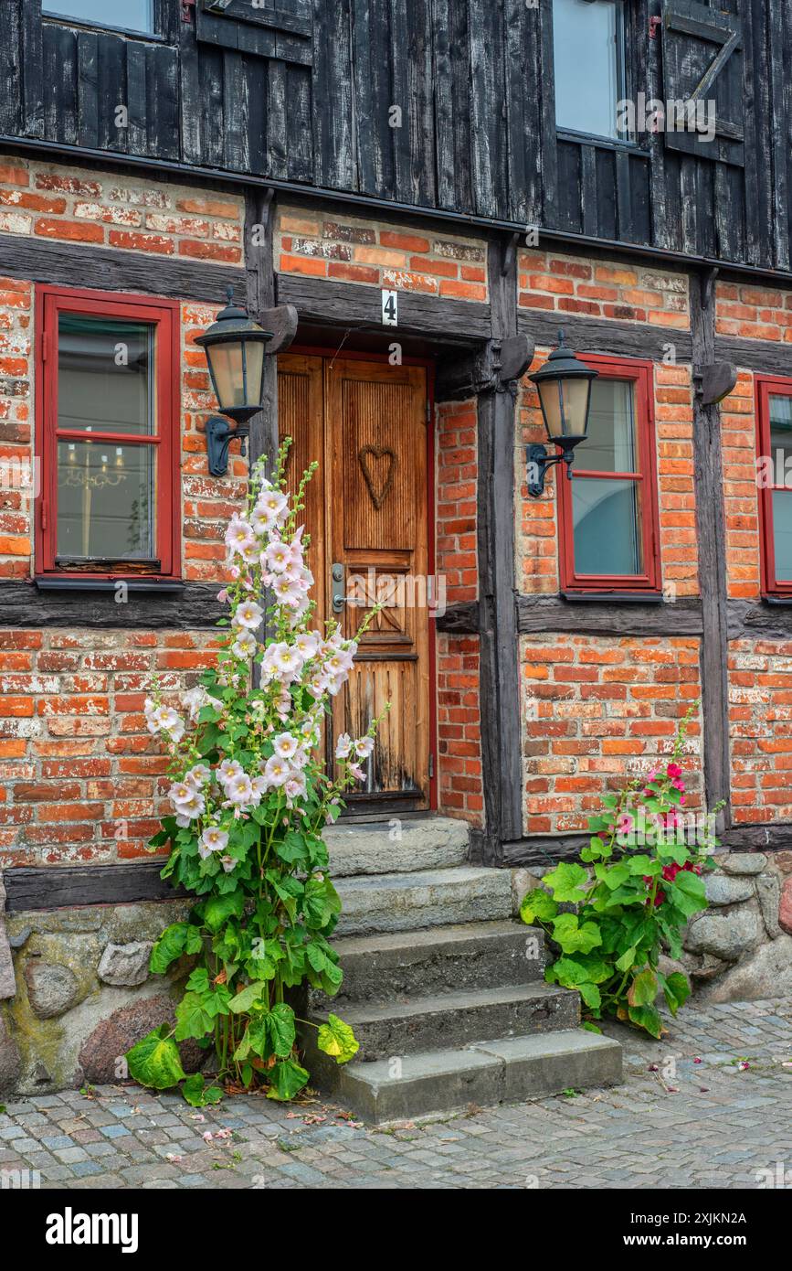 Hollyhocks (Alcea rosea) at a door a half-timbered house in a small ...