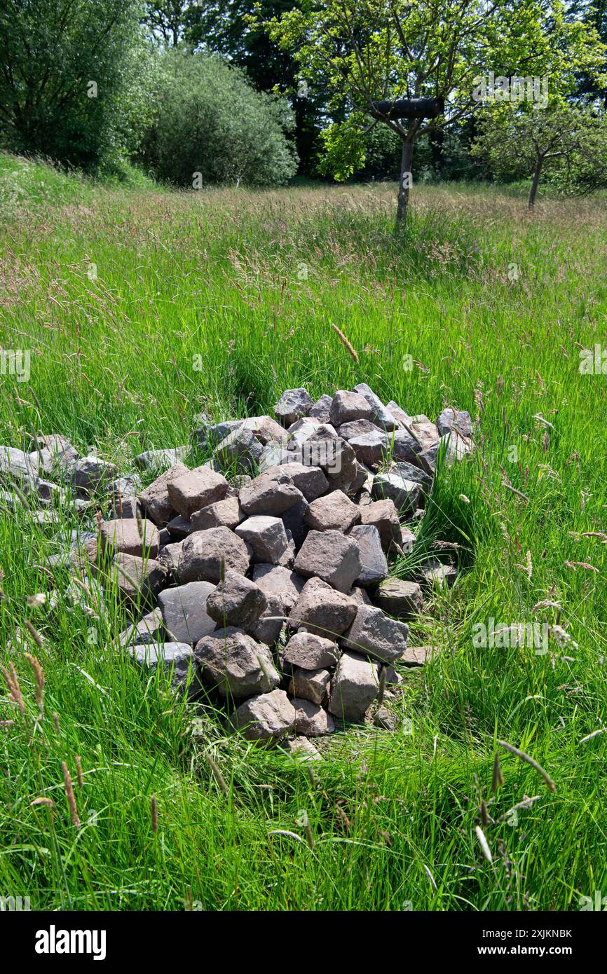 Nature conservation project, stone pile created as a habitat for ...