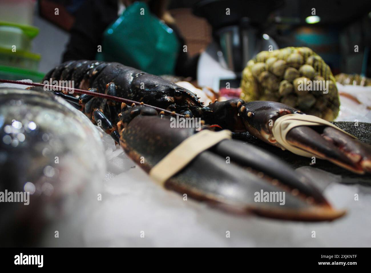 Seafood on display at the counter of a fish counter in a small company ...
