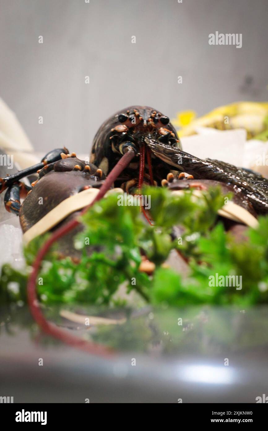 Seafood on display at the counter of a fish counter in a small company ...