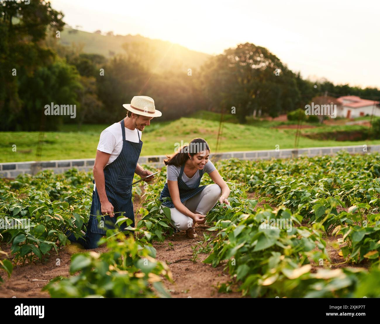 Nature, couple and farming together, tablet and love for sustainability ...