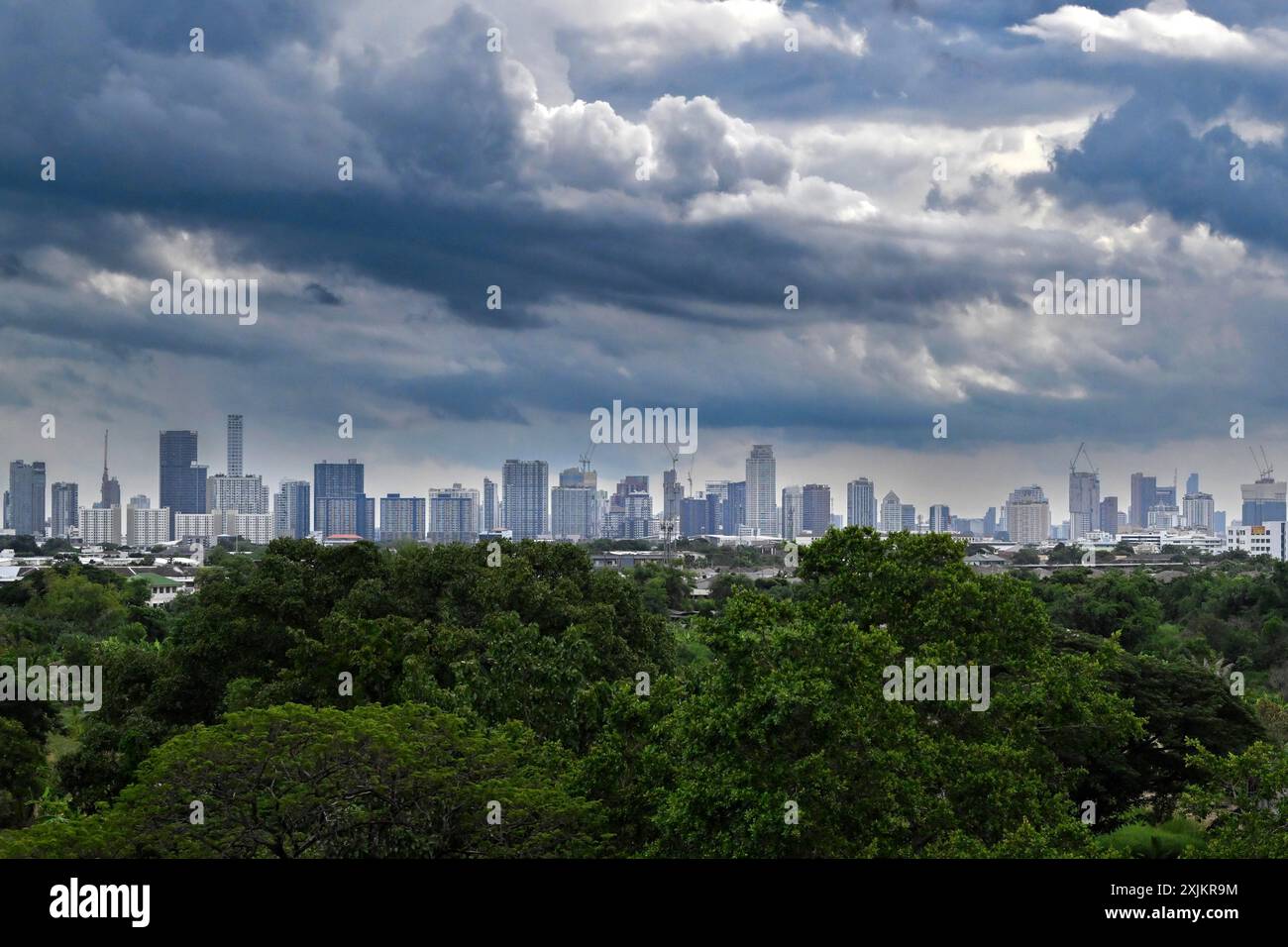 Bangkok skyline with trees hi-res stock photography and images - Alamy