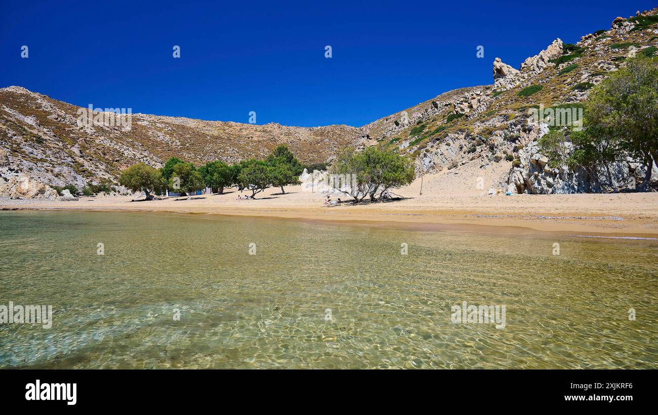 Beach with crystal clear water and golden sand, surrounded by trees and ...