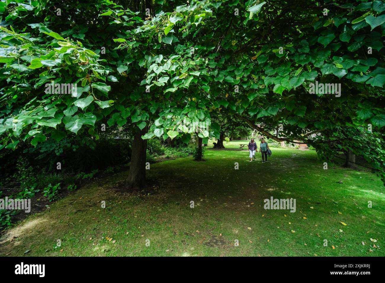 Kipling Gardens in Rottingdean photographed on Thursday 18 July 2024 at ...