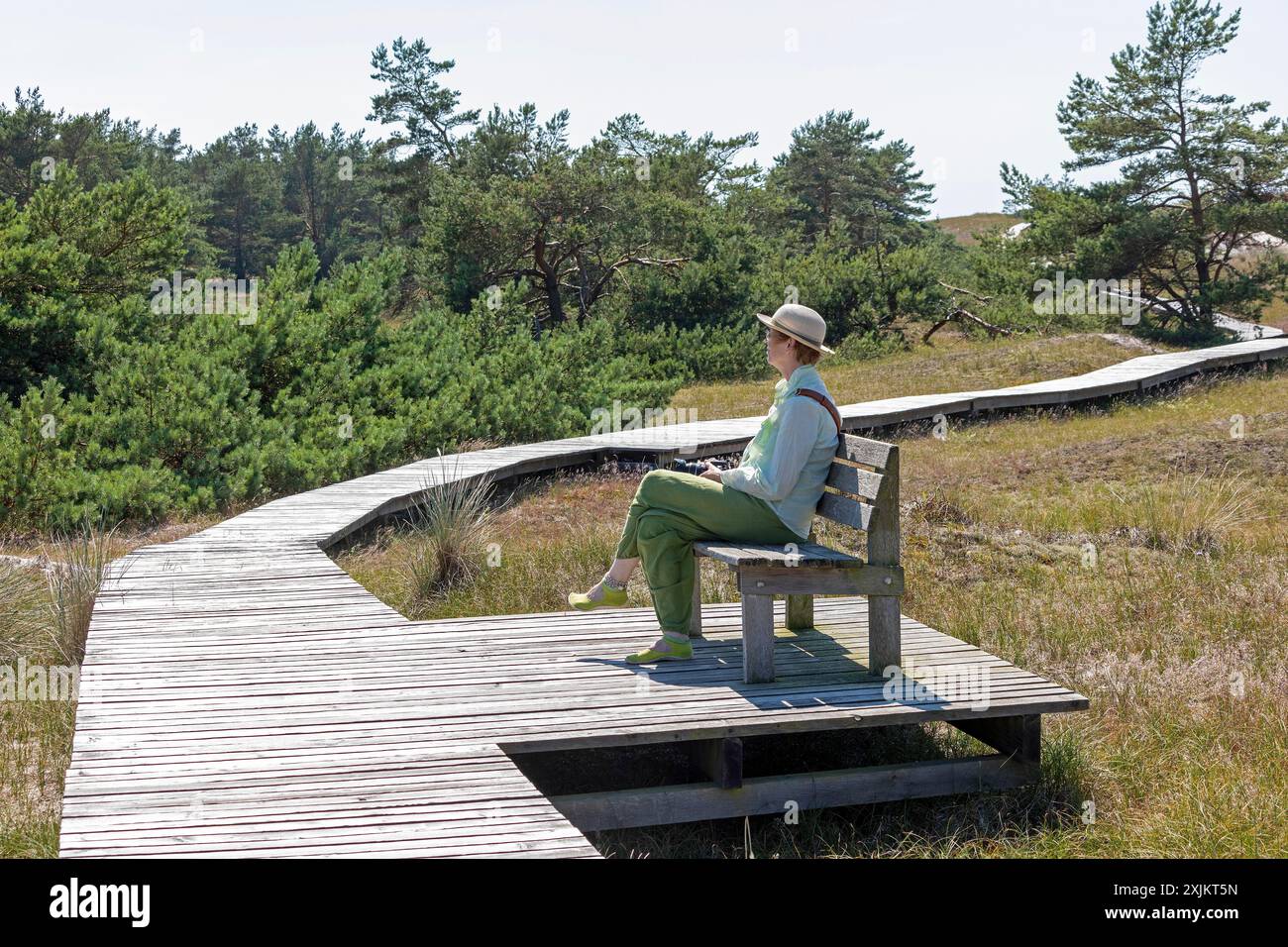 Elderly, woman sitting on bench, wooden footbridge, reed grass, trees ...