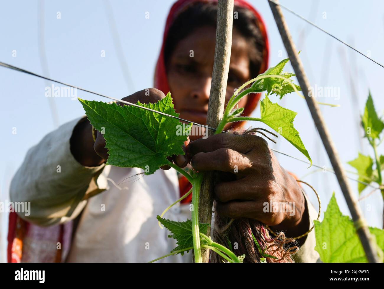 Farmers protest india strike hi-res stock photography and images - Alamy