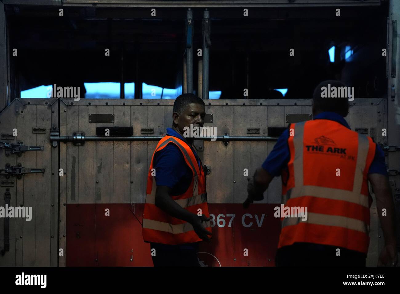 Staff members secure a cargo stall with two U.S. Olympic Eventing Team ...