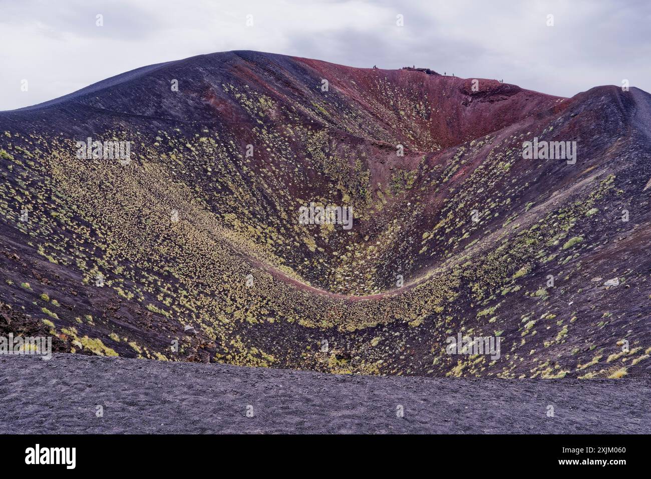 Lava rock and crater landscape around the Crateri Silvestri in the Etna ...